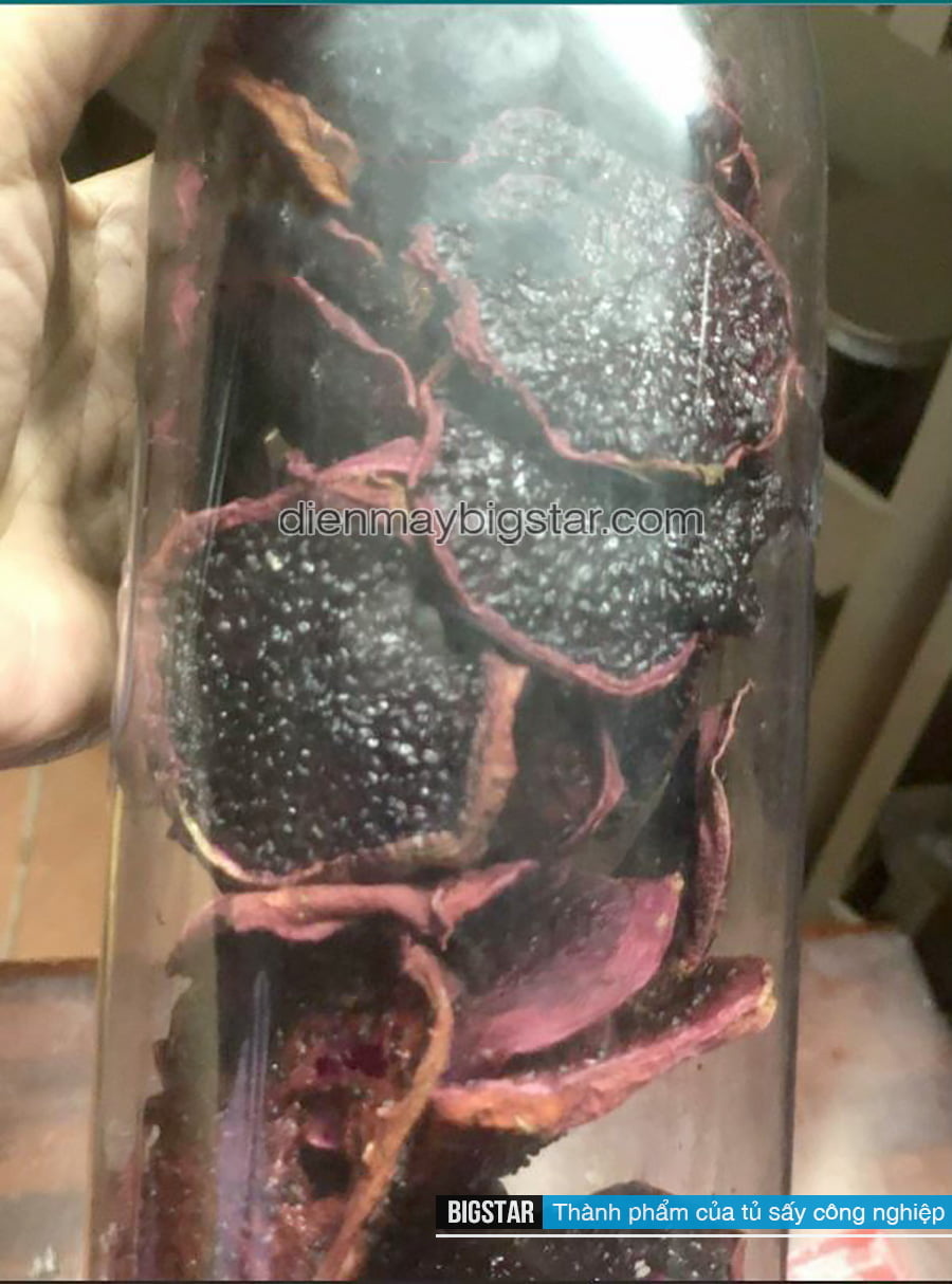 Tư vấn giá máy sấy trái cây thực phẩm mới nhất T12/2025