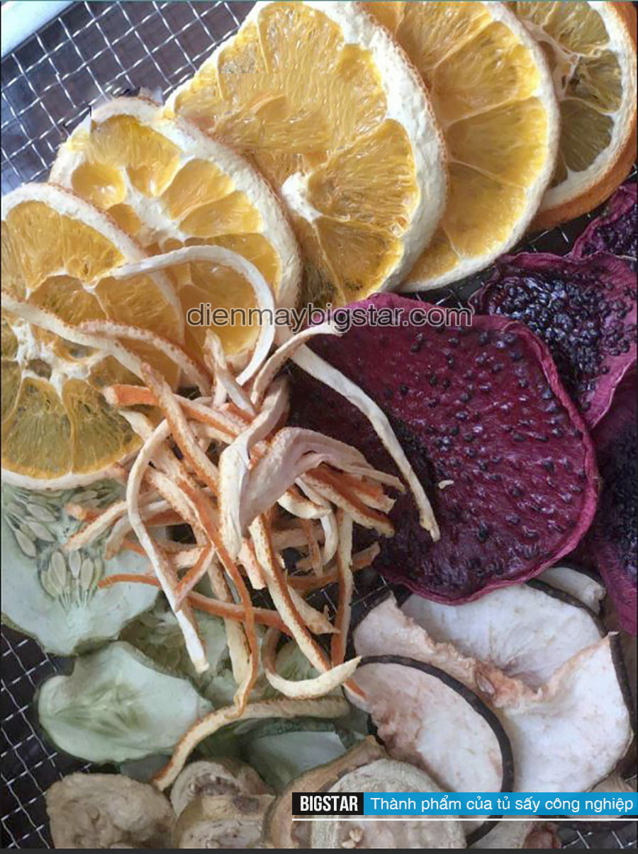 Review 5 mẫu máy sấy thực phẩm nên dùng dịp tết năm 2025