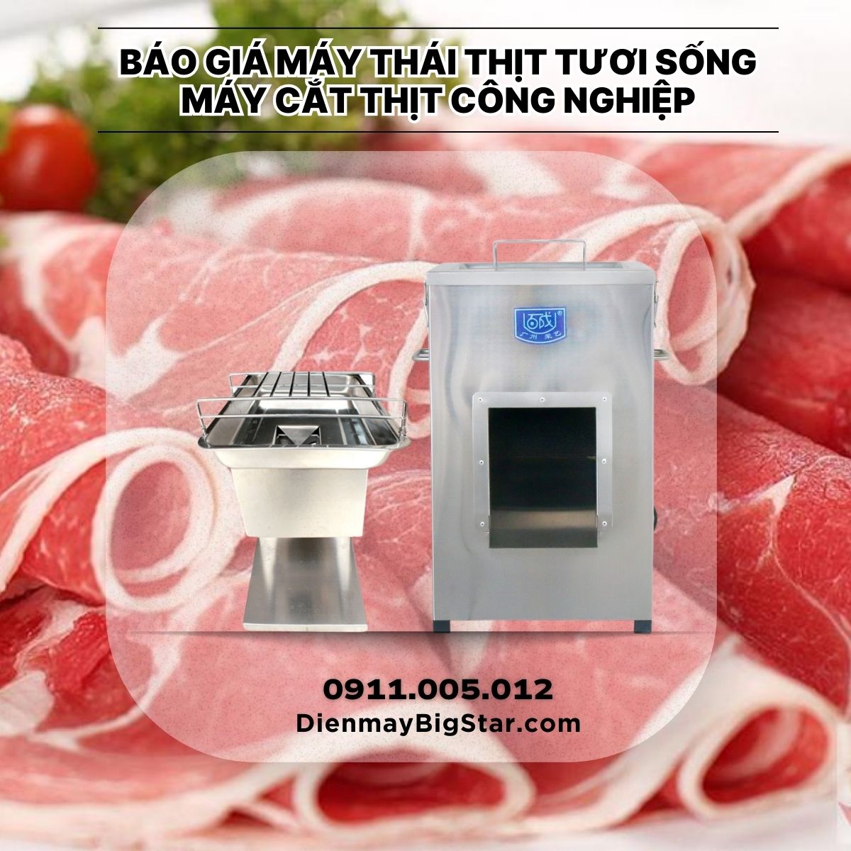 Báo giá máy thái thịt tươi sống máy cắt thịt công nghiệp T10/2025